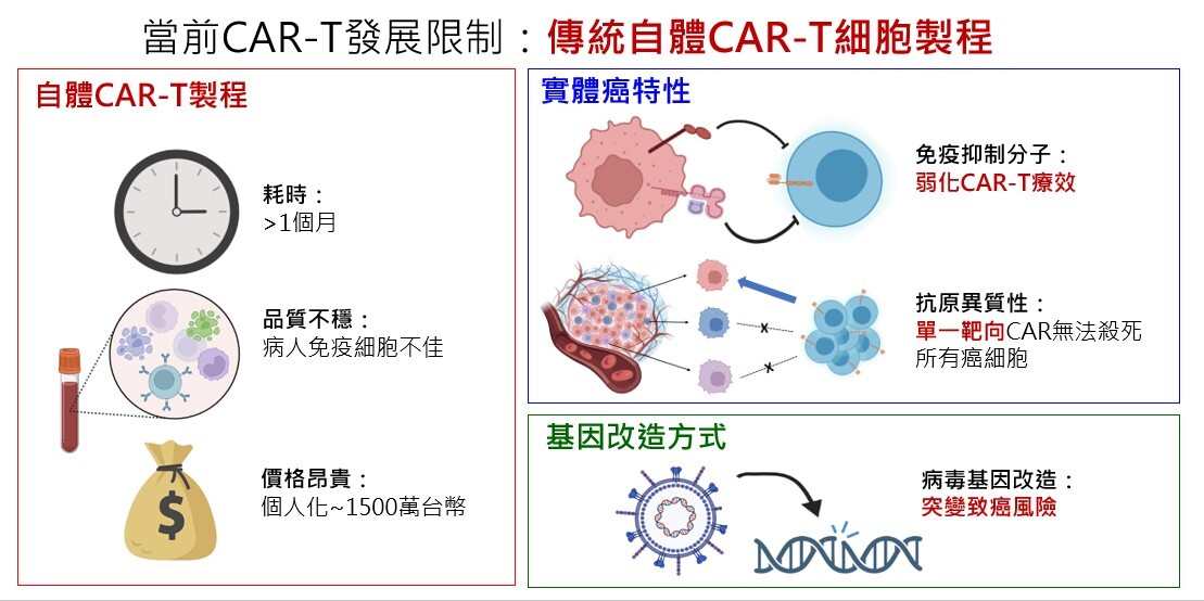 全球革命性重大突破！ 中醫大附醫「CAR.BiTE-γδT 細胞治療」：9成實體癌症細胞消滅 - ENews新聞網