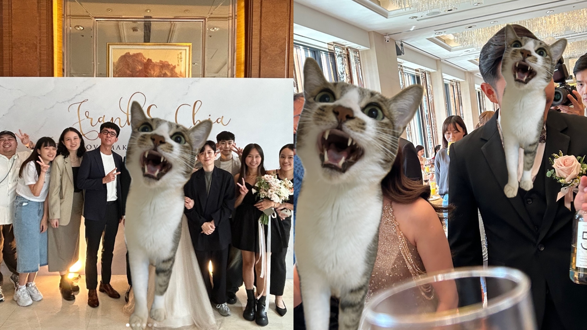 「知名YTR」HOOK親姐結婚了！阿滴曝光新娘身份 網驚：原來是她 - ENews新聞網